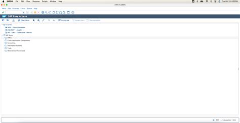 Sap Abap System Access For Affordable Price 9
