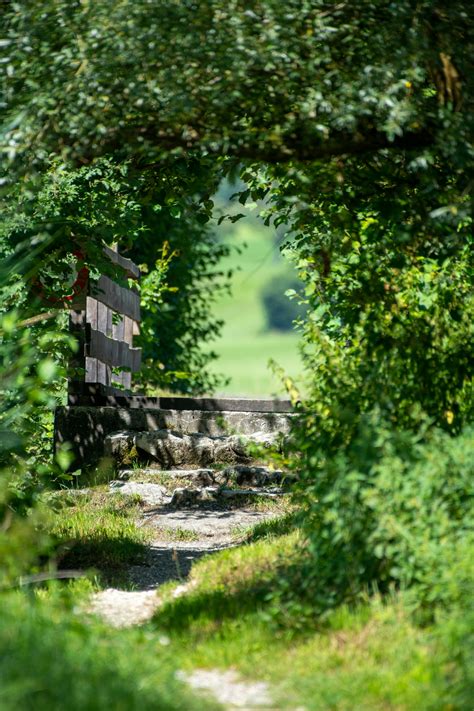 푸른 나무가있는 푸른 잔디 밭 사진 Unsplash의 무료 건물 이미지