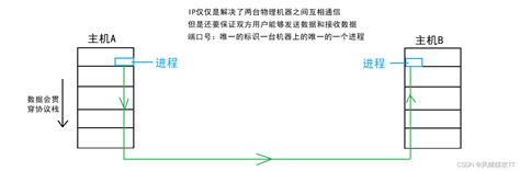 【linux】套接字编程 linux 原始套接字编程 csdn博客