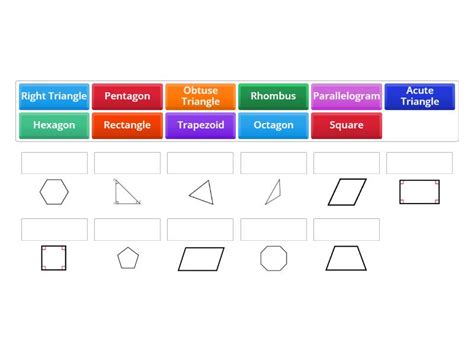 Polygons Match Up
