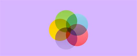 9 Quotes That Define Intersectionality Inspiring Quotes