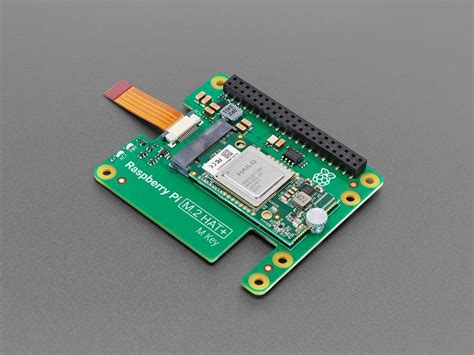 Raspberry Pi Ai Kit With M2 Hat And Hailo Ai Module Thingbits India