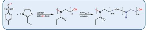 General Scheme For The Cationic Ring Opening Polymerization