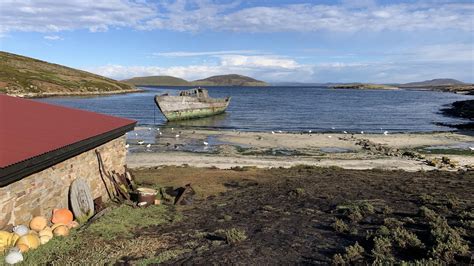 Visit The Falkland Islands Falklands