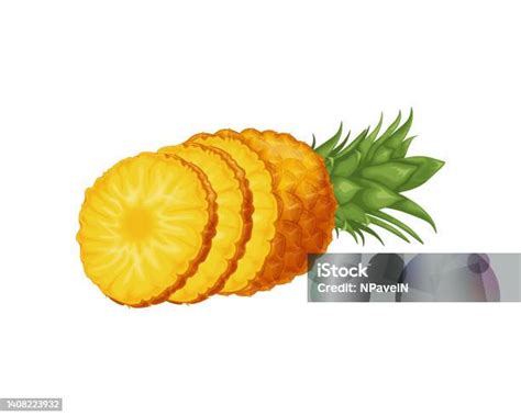 파인애플 파인애플이 조각으로 잘린 이미지 잘 익은 파인애플 조각 달콤한 열대 과일 벡터 일러스트 레이 션 0명에 대한 스톡 벡터