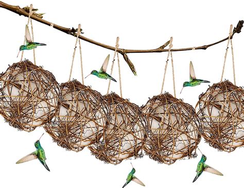 Hummingbird Nesting Bird Nesting Houses And Bird Nesting
