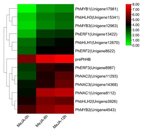 Relative Heatmaps Of Rna Sequencing Rna Seq Showing Technical Download Scientific Diagram