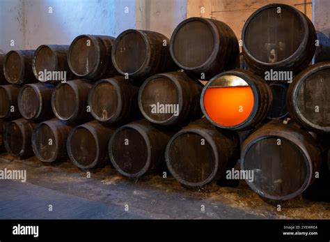 Flor Film Of Yeast In Solera Systems In Old Andalusian Wine Cellar