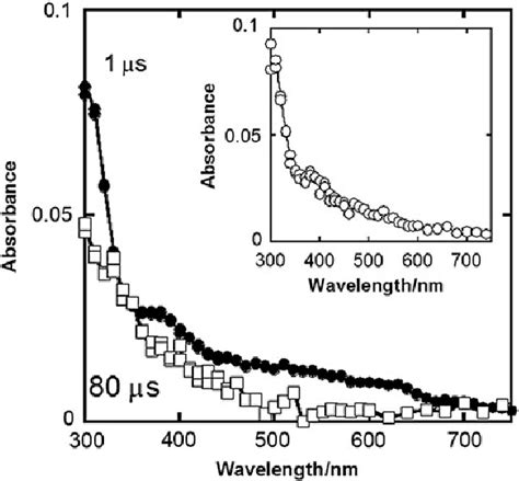 Transient Absorption Spectra Obtained 1 μs Closed Circles And 80 μs