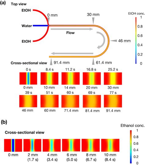 Figure 1 From Understanding The Effects Of Ethanol On Structural
