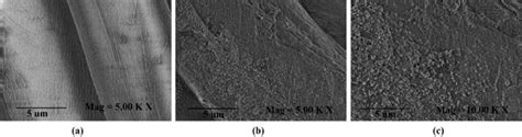 Sem Micrographs For Cotton Fabric A Untreated Sample S 1 B Sample
