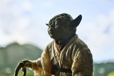 What Species Is Yoda