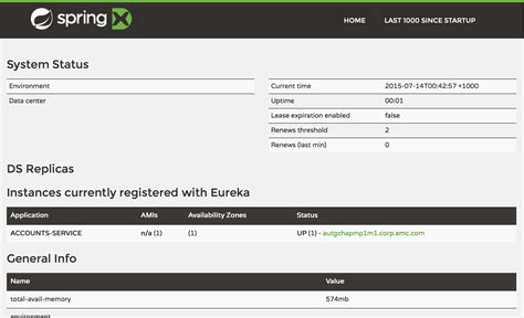 Java Spring Eureka App Doesnt Show Dashboard Stack Overflow