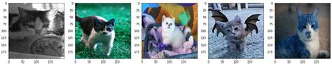 We Use Matplotlib To See Our Resized Images Download Scientific Diagram