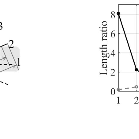 Roc Detector A Sketch Map Of Roc Detector N 8 B Length Ratios