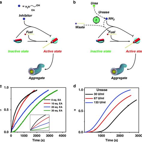 Temporal Control Over Nucleation A Schematic Representation Of Delay