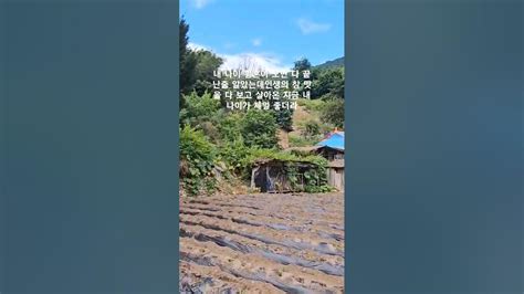 시골살이 하다보니 내 나이 언제벌써 여기까지 왔는지 Youtube