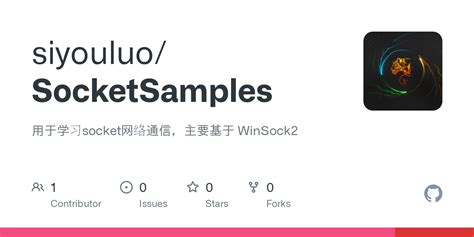 Github Siyouluo Socketsamples Socket Winsock