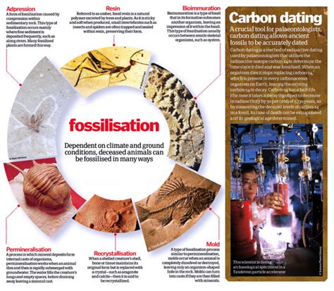 Fossilization Image History ModDB