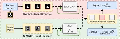 above red encoding and model pipeline for the raf cnn trained on