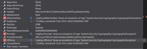 cryptography use custom cng provider to get private key from the hsm