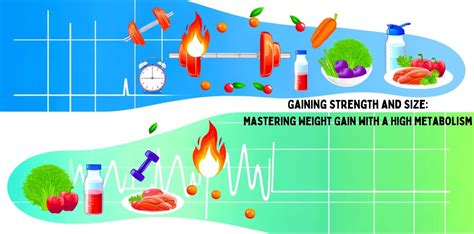 How To Gain Weight With A High Metabolism