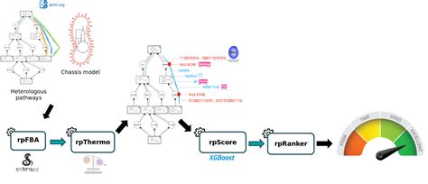 Hands On Evaluating And Ranking A Set Of Pathways Based On Multiple