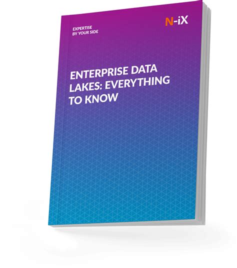 Enterprise Data Integration When To Invest And How To Start N Ix