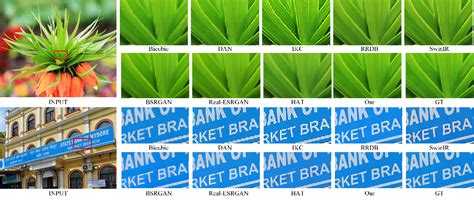 Figure 5 From Efficient Real World Image Super Resolution Via Adaptive Directional Gradient