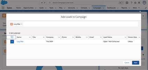 Ways To Add Leads To Salesforce Campaigns As Campaign Members Salesforce Ben