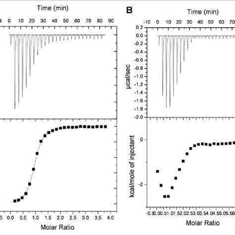 Typical Itc Data For The Exothermic Binding Of Adp And Atp To G565r Download Scientific Diagram