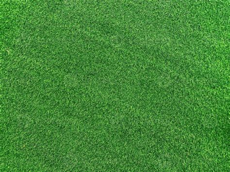Green Grass Texture Background Grass Garden Concept Used For Making