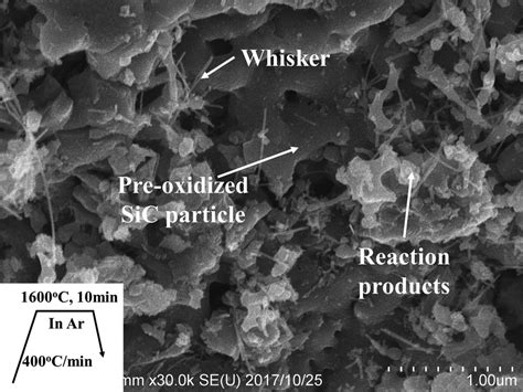 Fe‐sem Image Of The Heat‐treated Pre‐oxidized Sic Powder Covered With Download Scientific