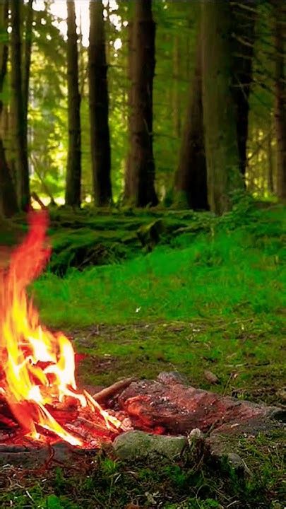 Camping In The Valley Youtube
