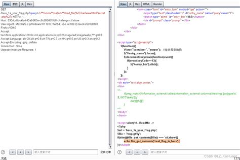 ctf show web web11~web14 ctfshowweb11 csdn博客