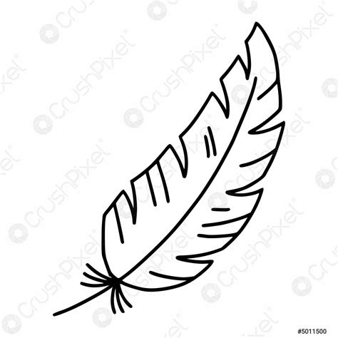 Bird Feather Vector Doodle Illustration Contour Icon Alligraphic Symbol
