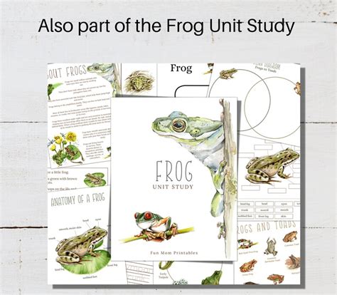 Frog Anatomy Poster Labeling Activity Fact Cards And Etsy