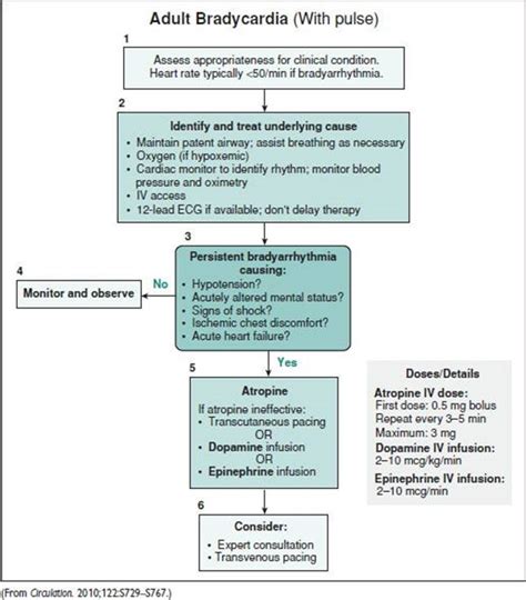 Acls Pacing Algorithm