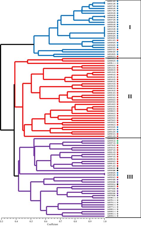 The Phylogenetic Tree Of 95 Commercial Cultivars Using 24 Core Snp Download Scientific Diagram
