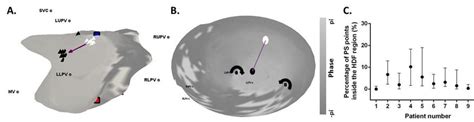 A The Relationship Between Phase Singularity Points Ps And The