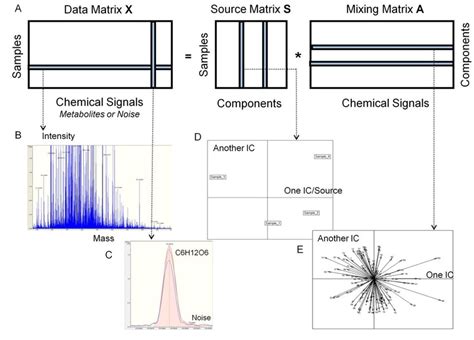 Matrix Decomposition In Non Targeted Metabolomics A X Is An Aligned Download Scientific