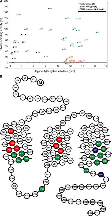 Relationship Between Ethylene Binding And Signaling Of The Etr1