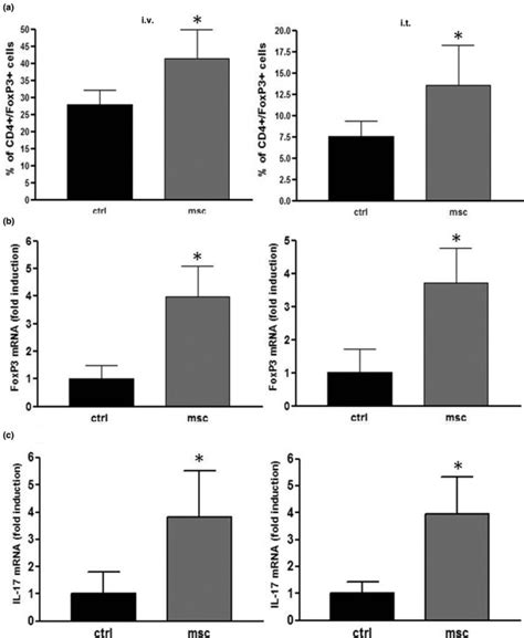 Intratechal And Intravenous Injection Of Mesenchymal Stem Cells