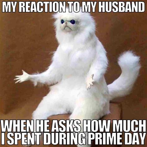 Prime Day Meme 11 20250710 Thunder Dungeon The Funniest Memes Period