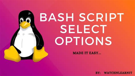 Bash Script Select Options Youtube