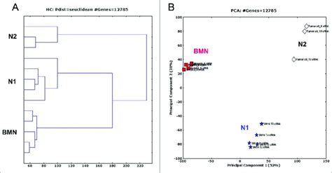 hierarchical clustering a and principal component analysis pca b