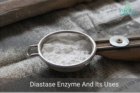 Different Uses Of Diastase Enzyme Infinita Biotech