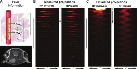 Graphical Summary Of The Model Based Constrained Reconstruction Download Scientific Diagram