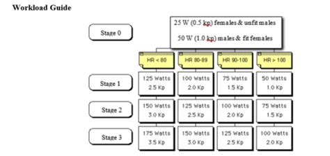 lab 4 isp flashcards quizlet