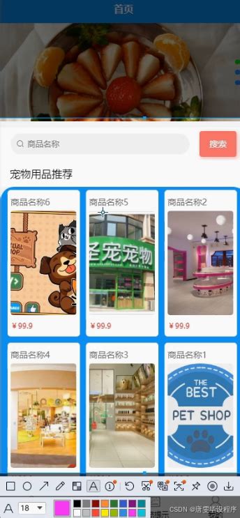springboot毕设 基于vuejs的爱宠用品销售app 程序 论文 csdn博客
